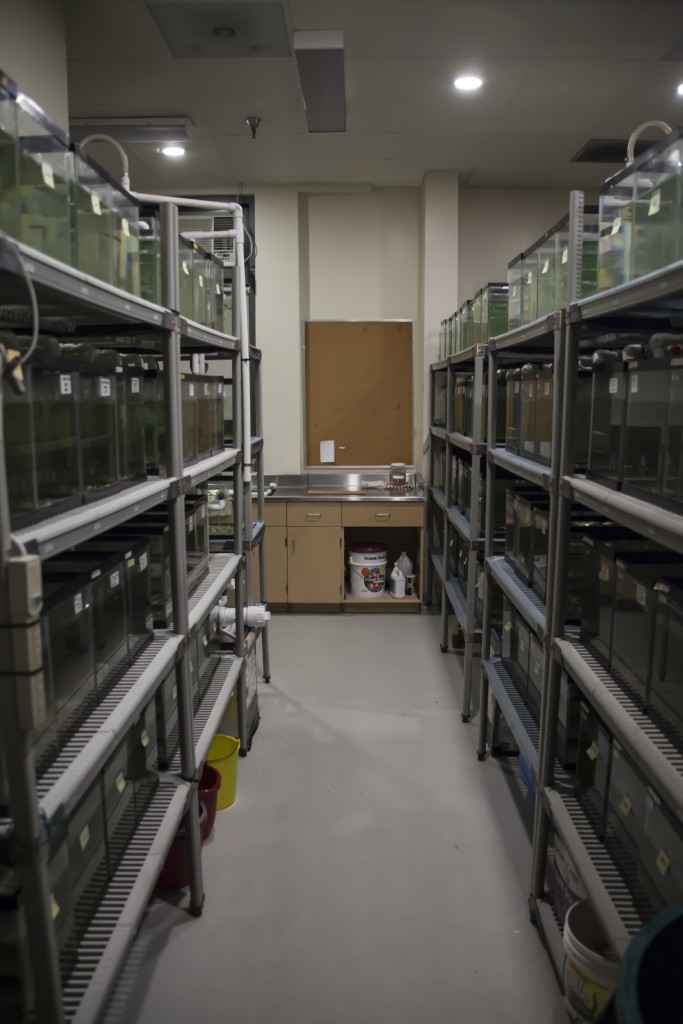 Lab & Facilities Tour – The Foster & Baker Lab