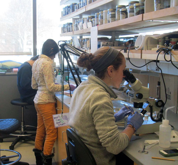 Lab & Facilities Tour – The Foster & Baker Lab