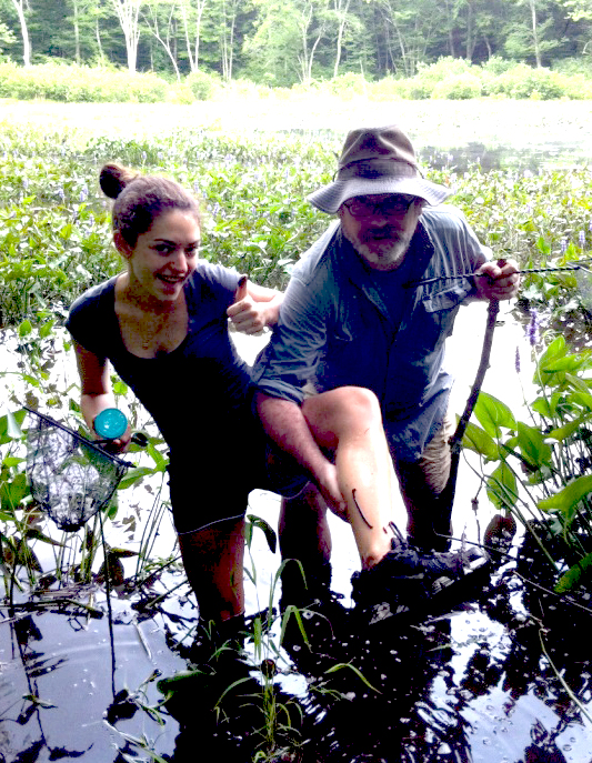Rebecca Rood Goldman (’14) Fifth Year Masters – The Foster & Baker Lab