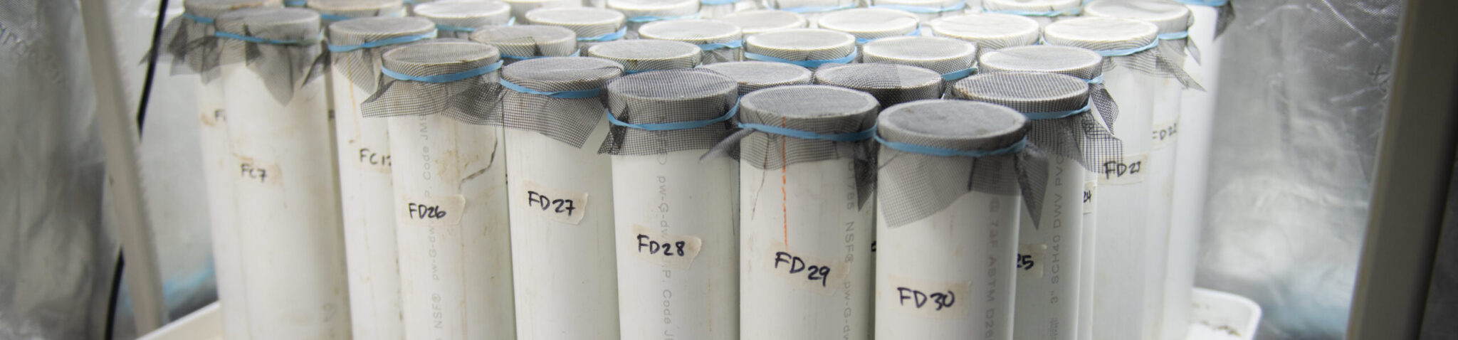 Breeding chambers cropped – McCullough Lab