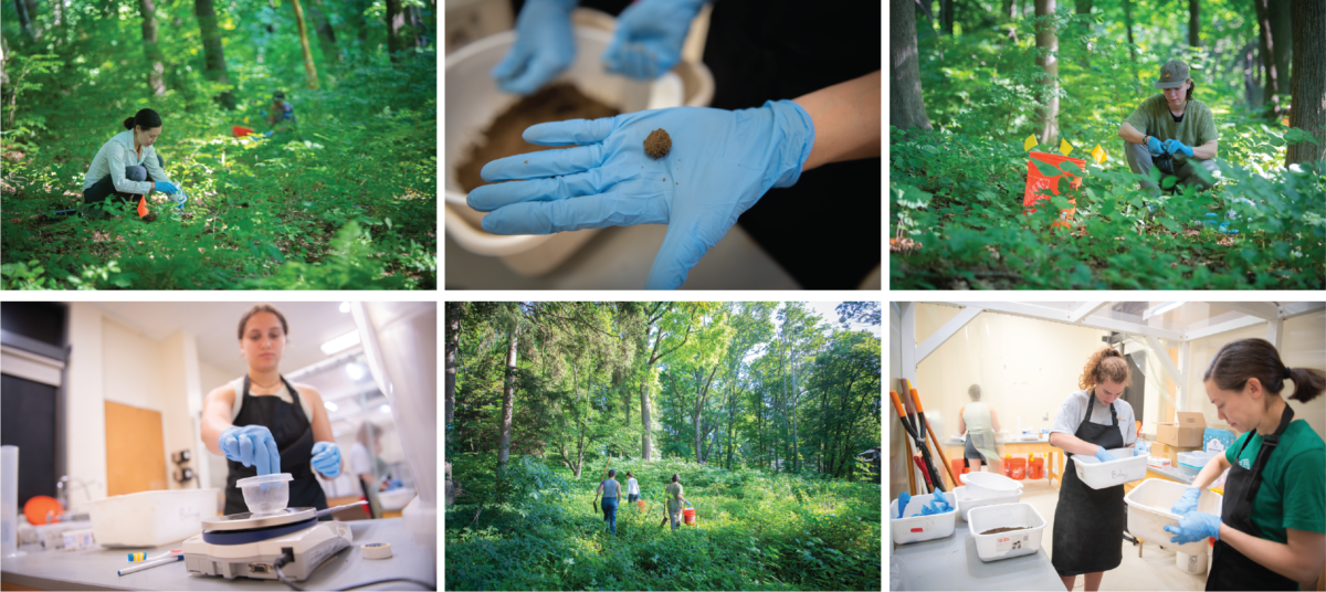 Lab photo collage 2024 – McCullough Lab