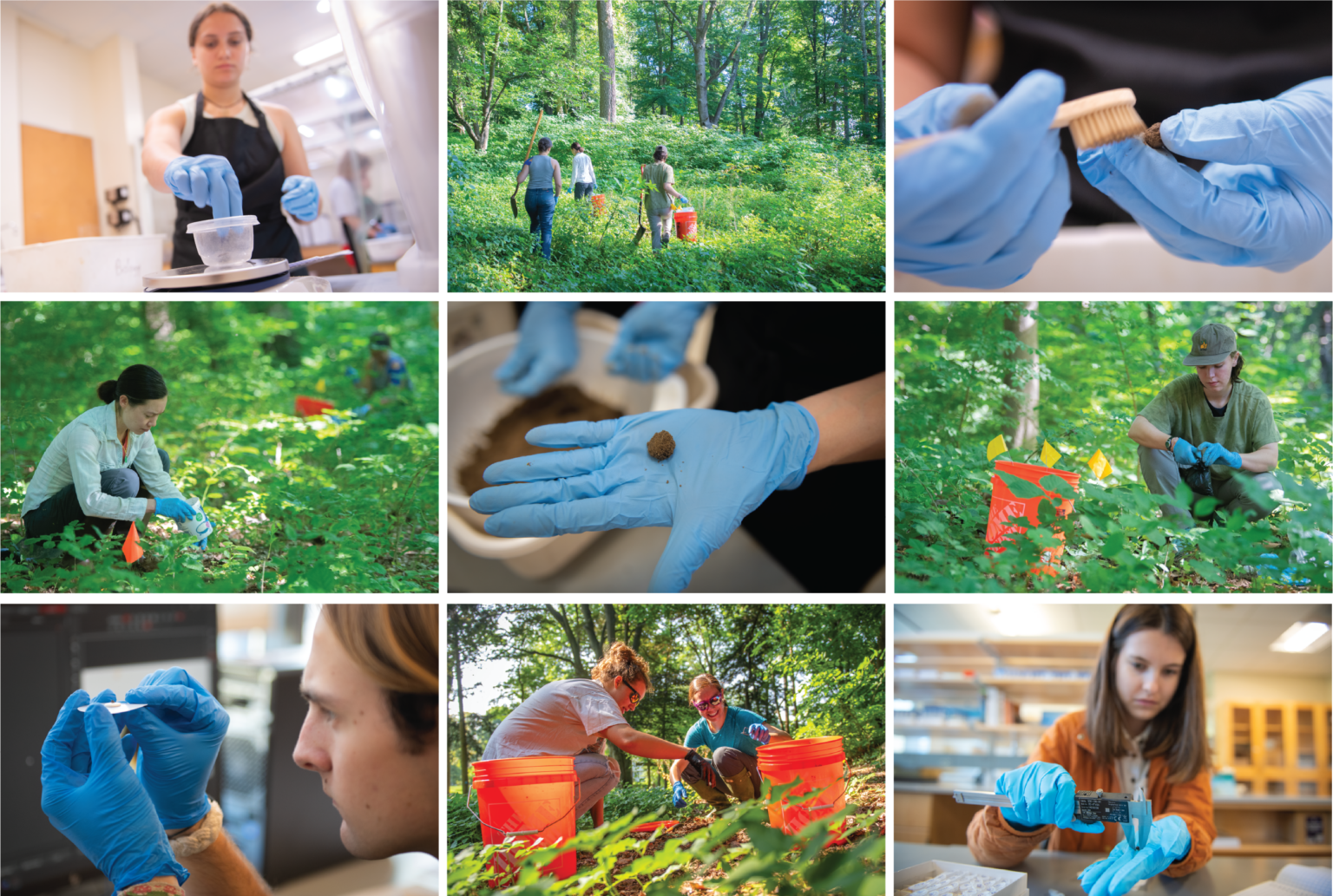 McCullough Lab – Department of Biology at Clark University
